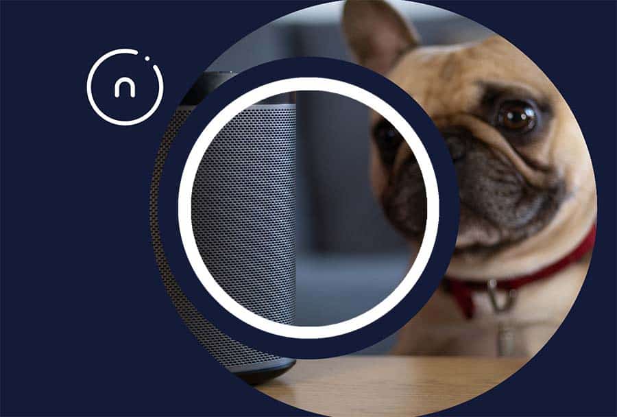 Pet Technology: Recommendations for Tech-savvy Pet Lovers