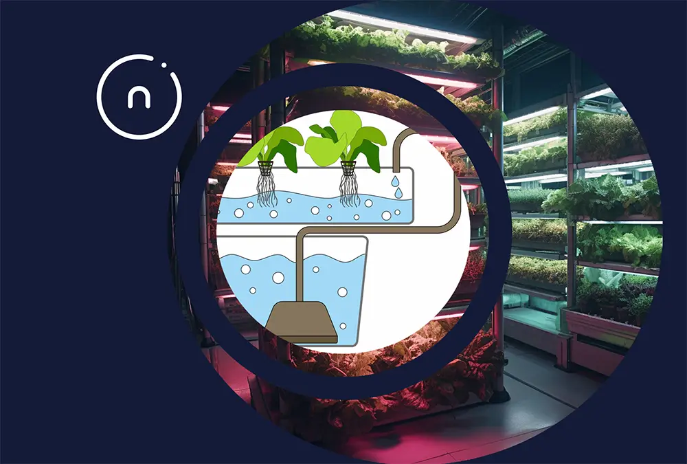 Indoor Smart Garden Systems: 11 Best Picks for Continuous Growth